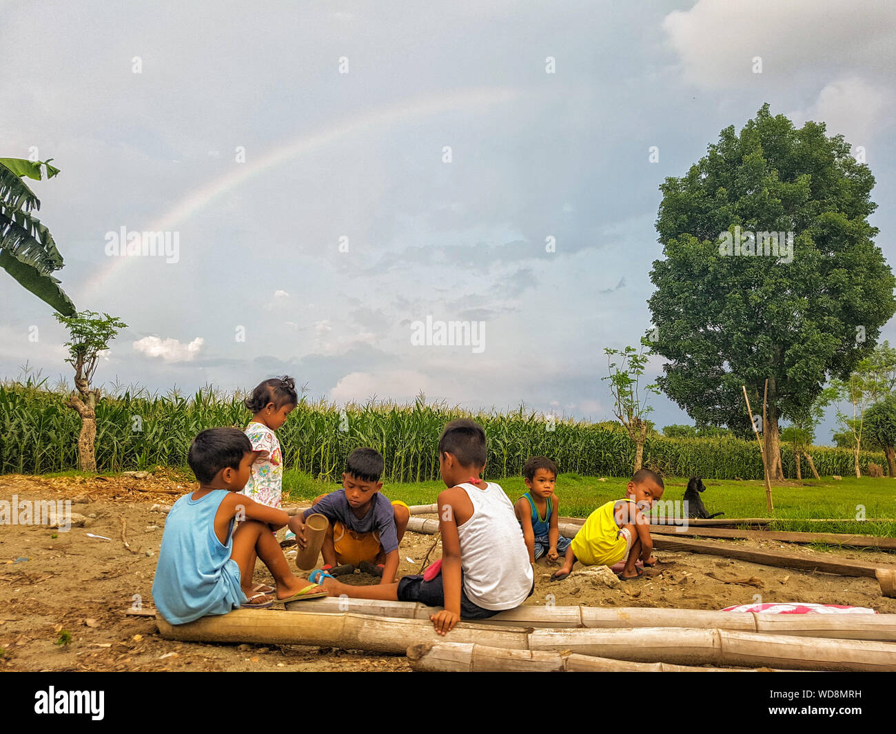 Kids field playing hi-res stock photography and images - Alamy