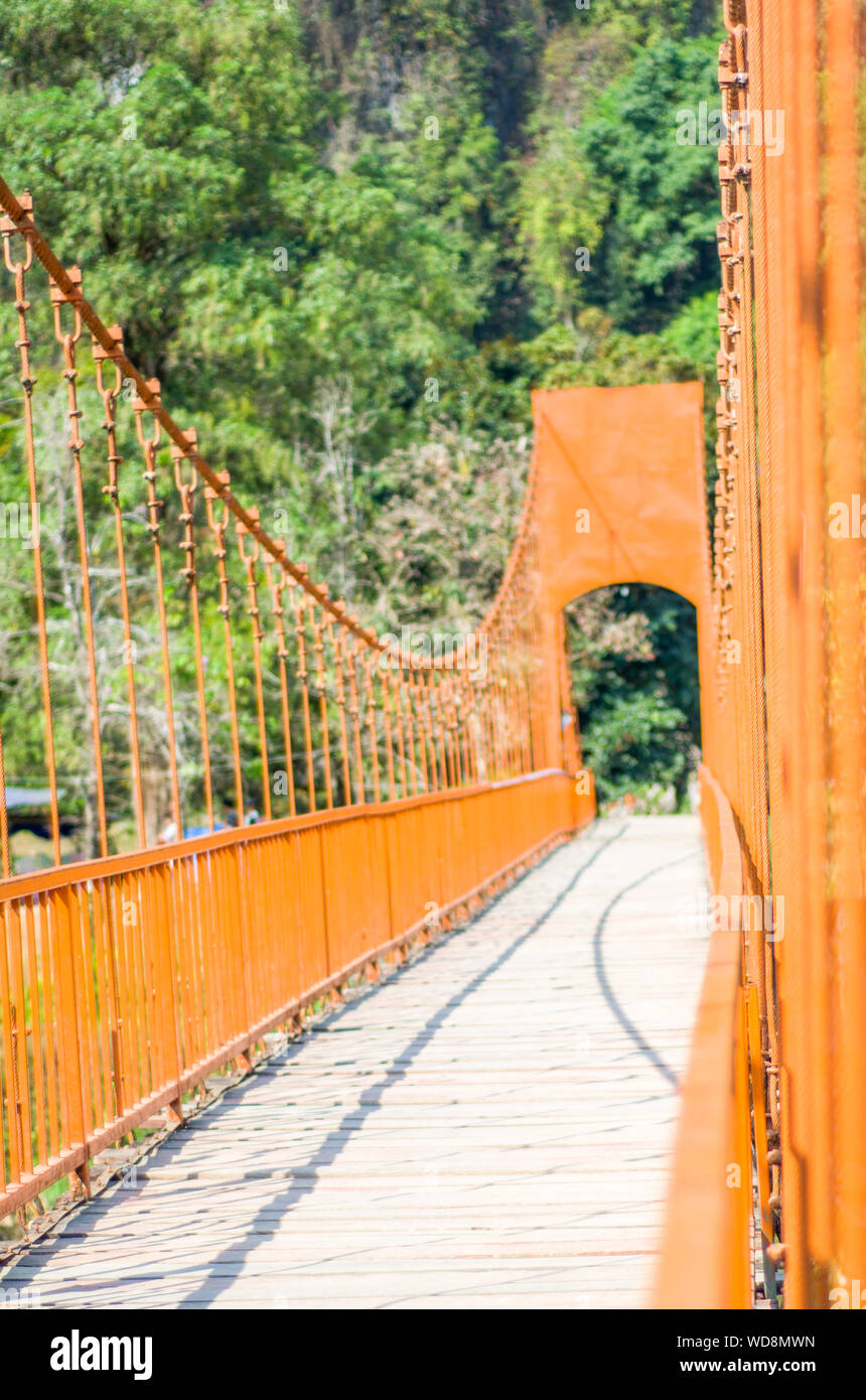 Suspension bridge forest hi-res stock photography and images - Alamy