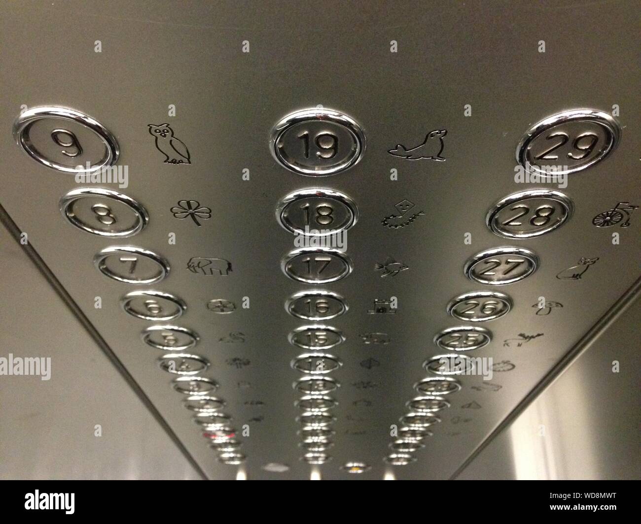 Animal elevator hi-res stock photography and images - Alamy