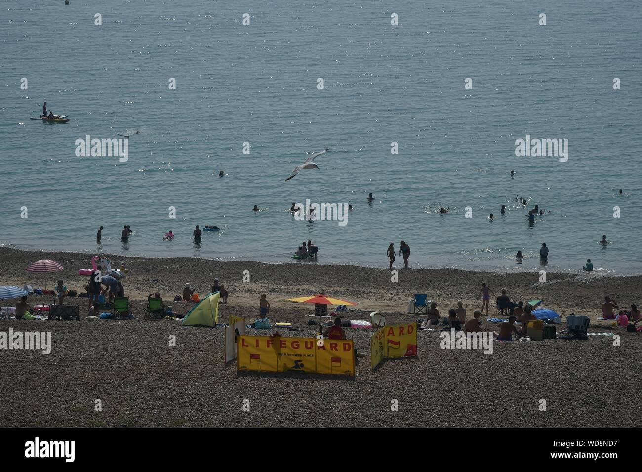 Peacehaven beach, summer 2019 Stock Photo - Alamy