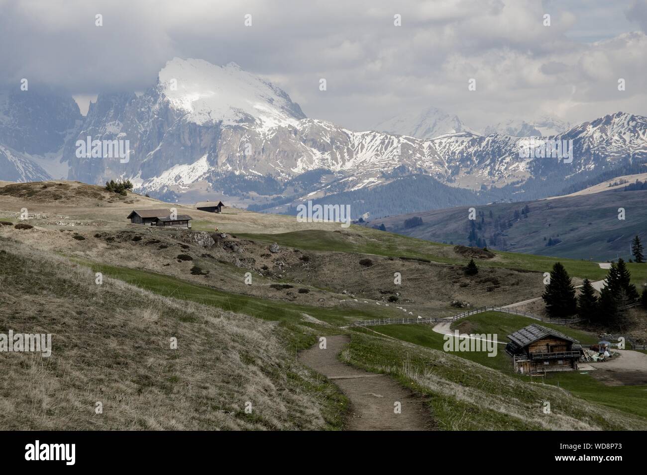 Spring on seiser alm hi-res stock photography and images - Alamy