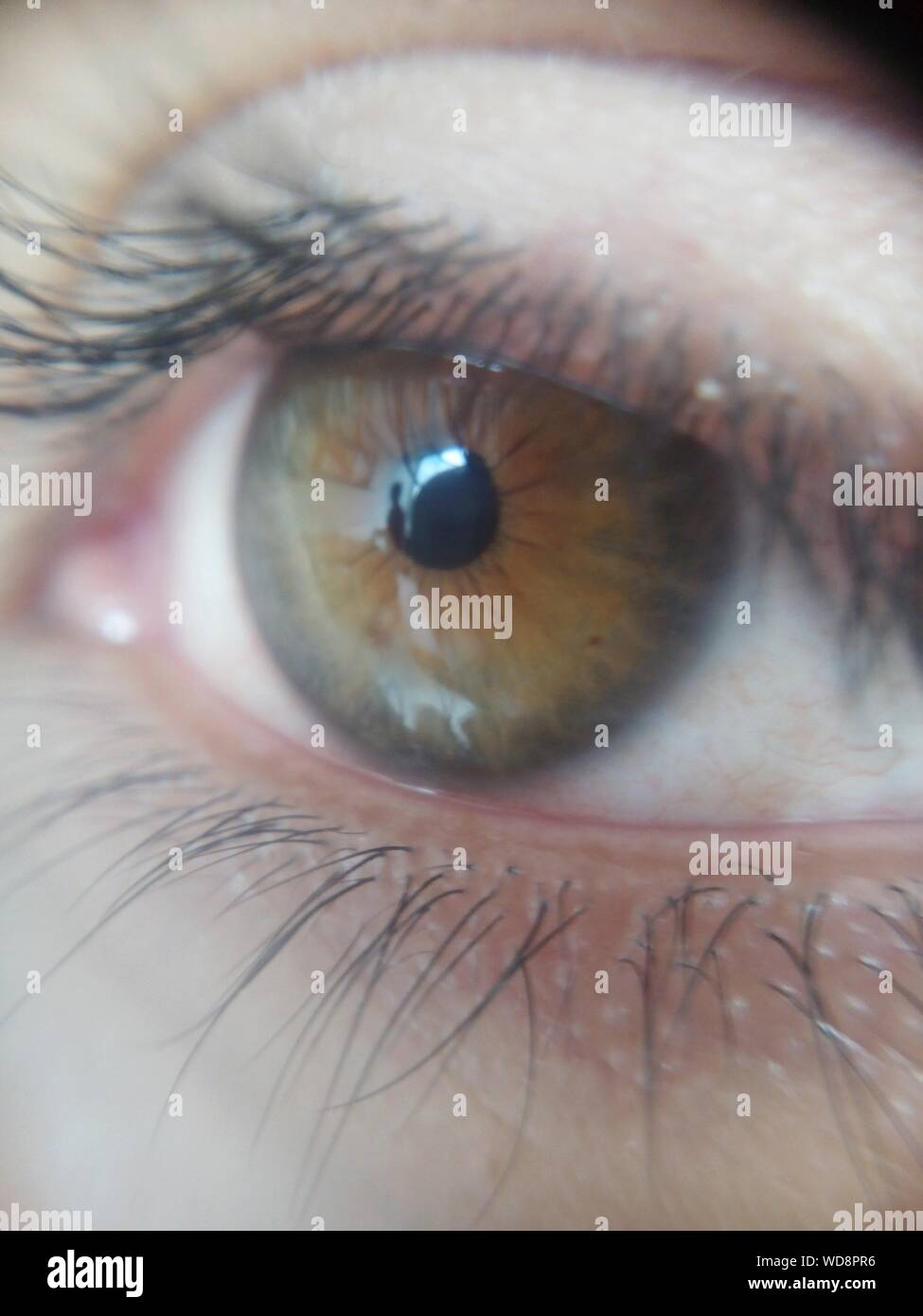 Human eye view hi-res stock photography and images - Alamy