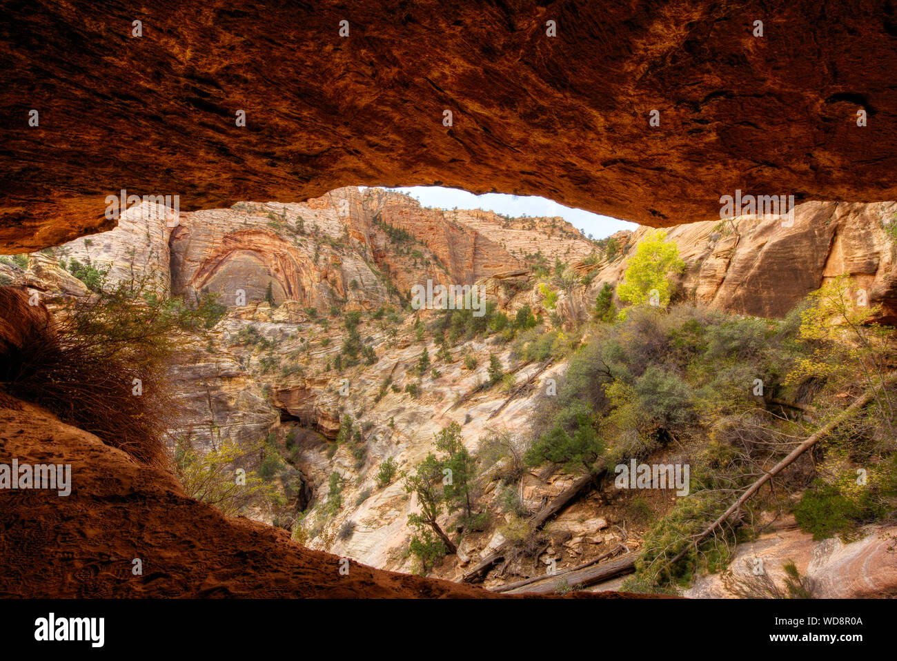 Red cave zion national park hi-res stock photography and images - Alamy