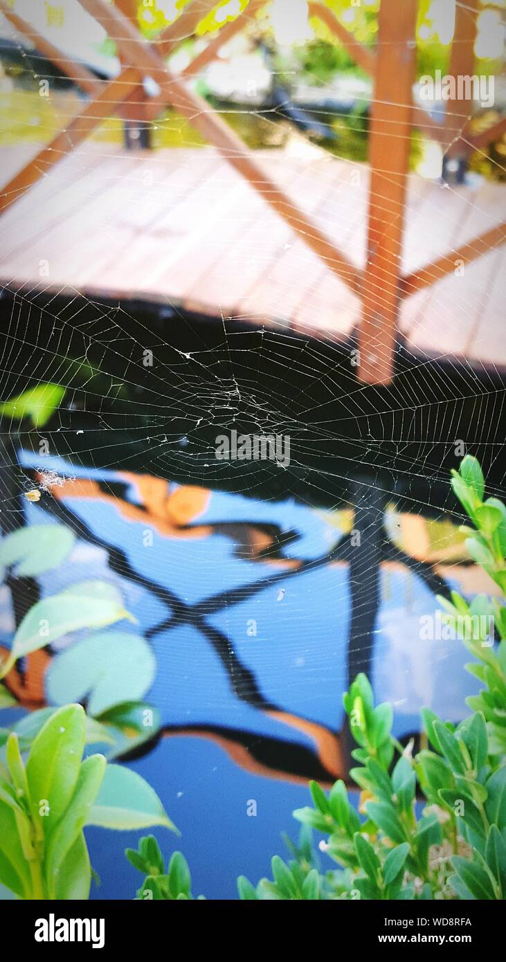 The spider web bridge hi-res stock photography and images - Alamy