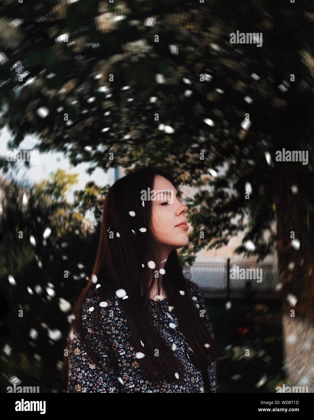 Day dreaming hi-res stock photography and images - Alamy