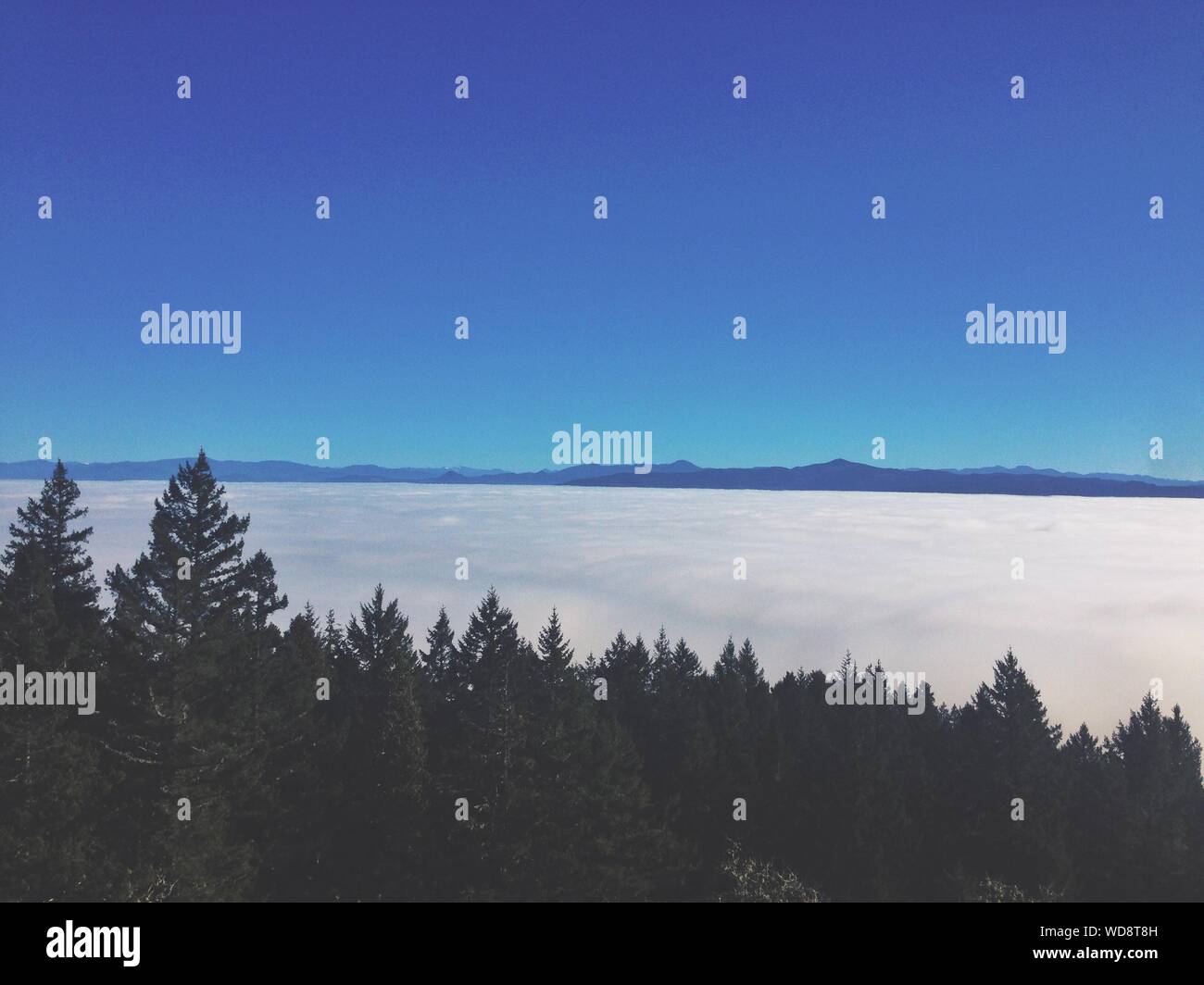 Low lying cloud hi-res stock photography and images - Alamy