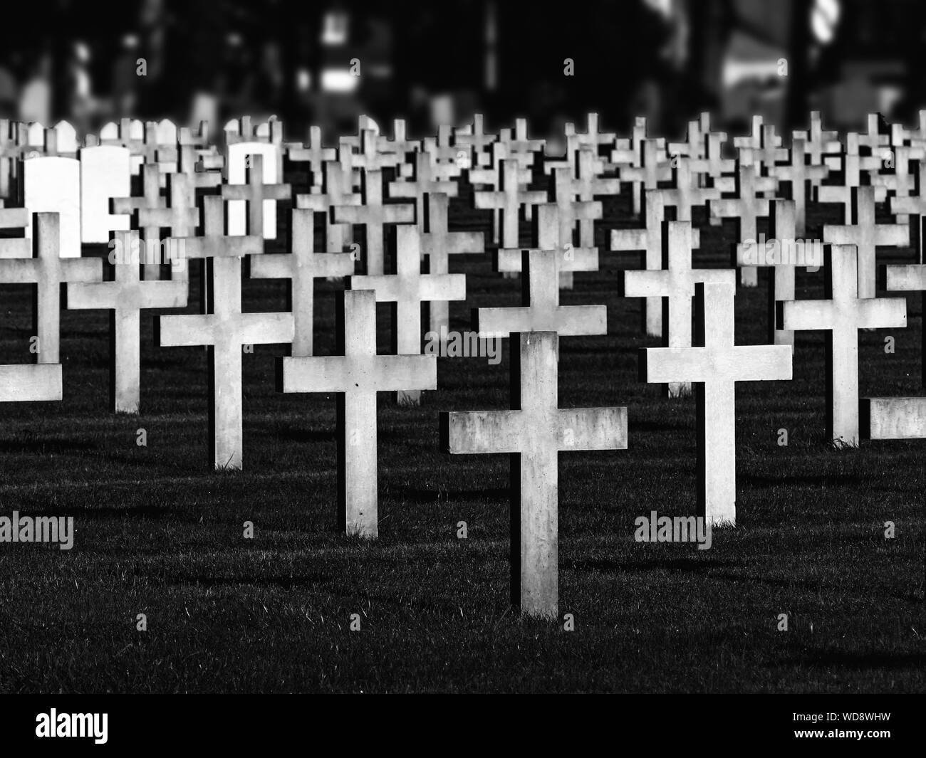 Cemetery night hi-res stock photography and images - Alamy