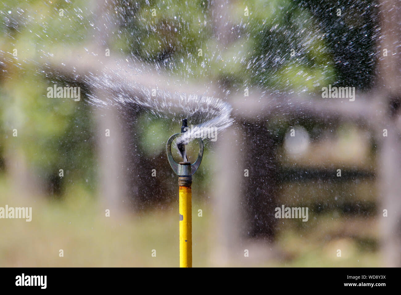 Yellow Sprinkler High Resolution Stock Photography and Images - Alamy