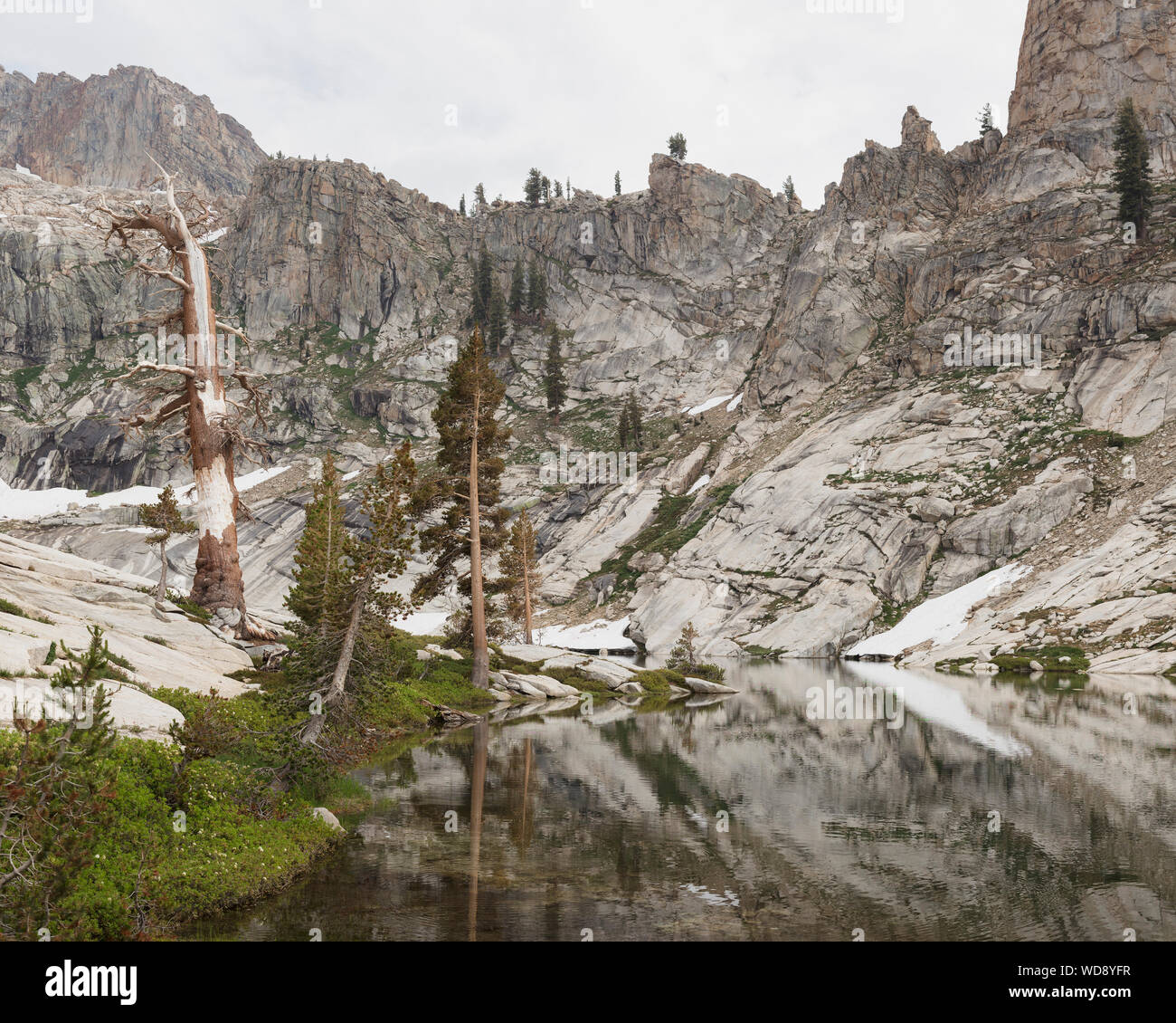 Pear lake sequoia park hi-res stock photography and images - Alamy
