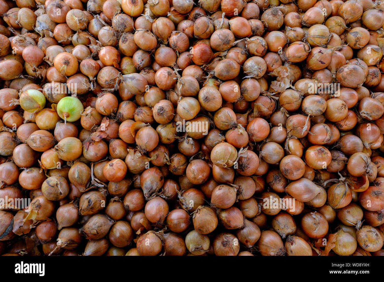 Bulk purchase hi-res stock photography and images - Alamy