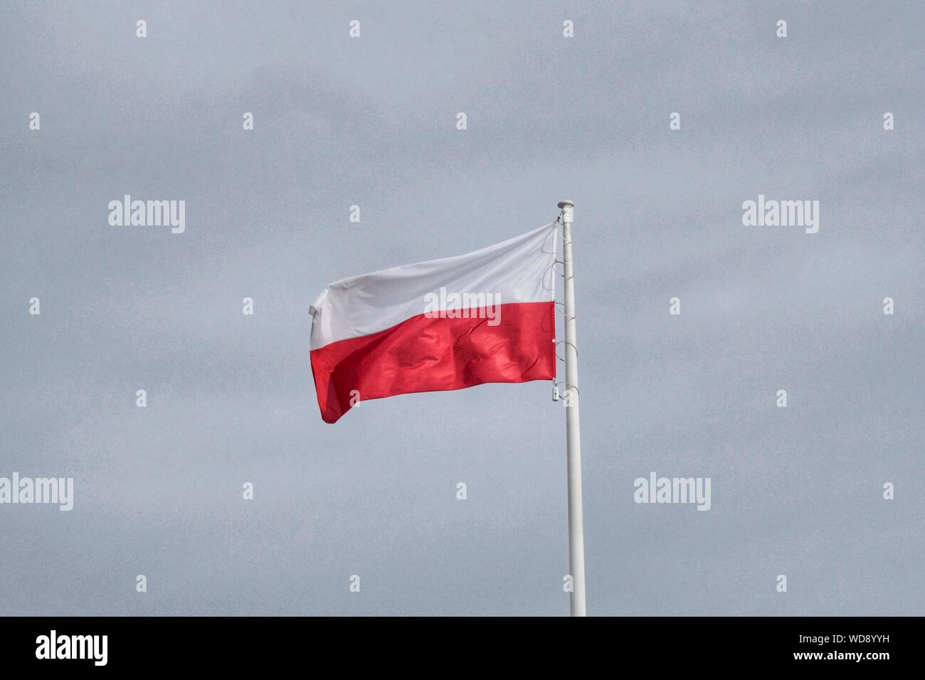 The polish flag hi-res stock photography and images - Alamy