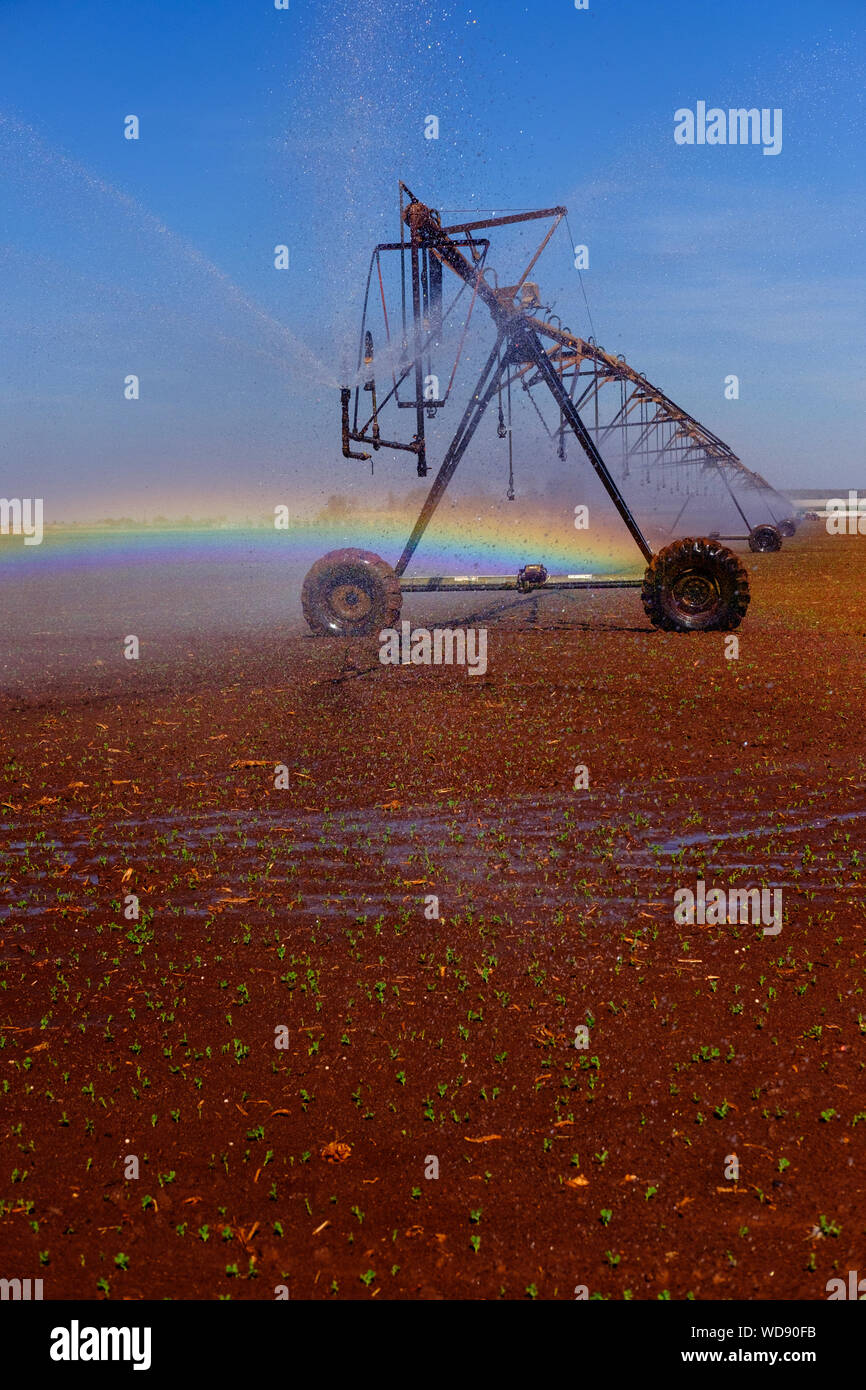 Central pivot irrigation hi-res stock photography and images - Alamy