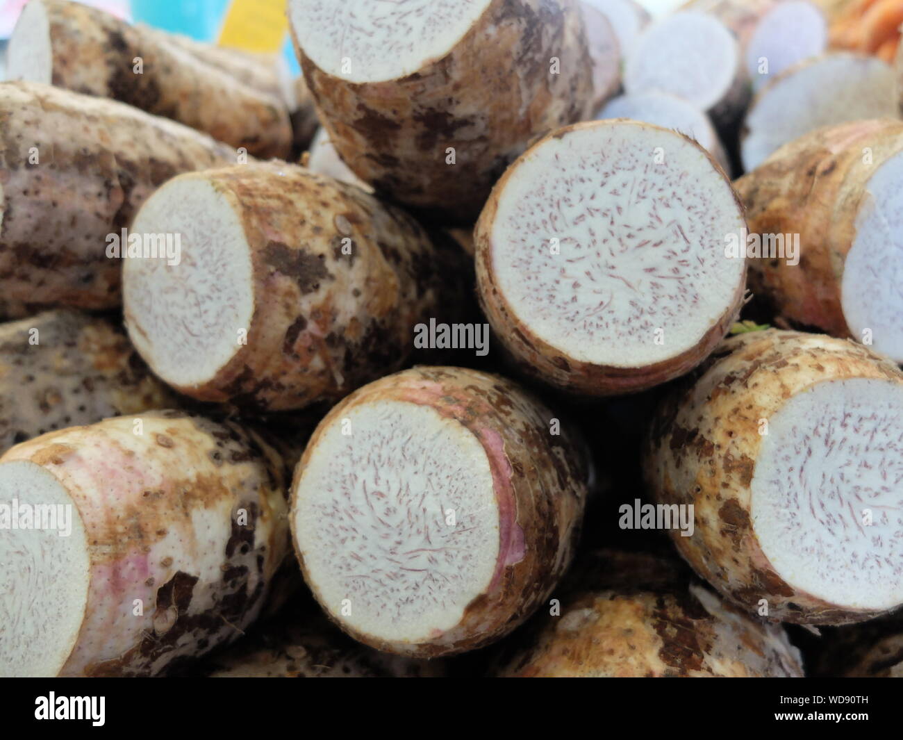 Malanga High Resolution Stock Photography and Images - Alamy