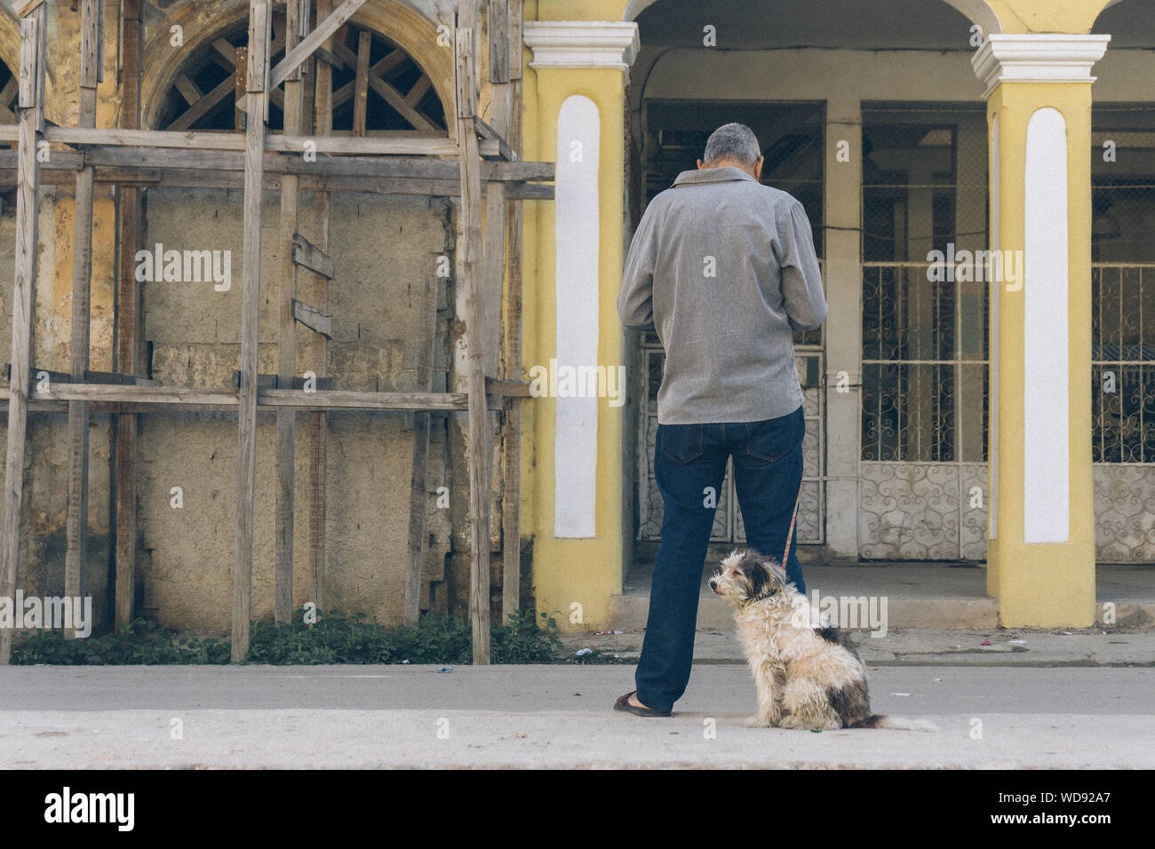 Dog and person outside hi-res stock photography and images - Alamy
