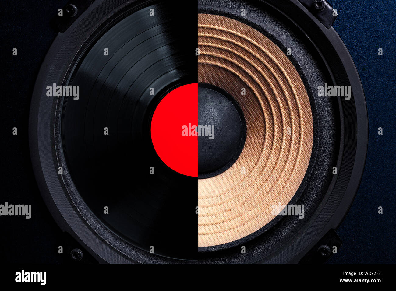 Music record production concept. Head of loudspeaker overlaid by vinyl ...