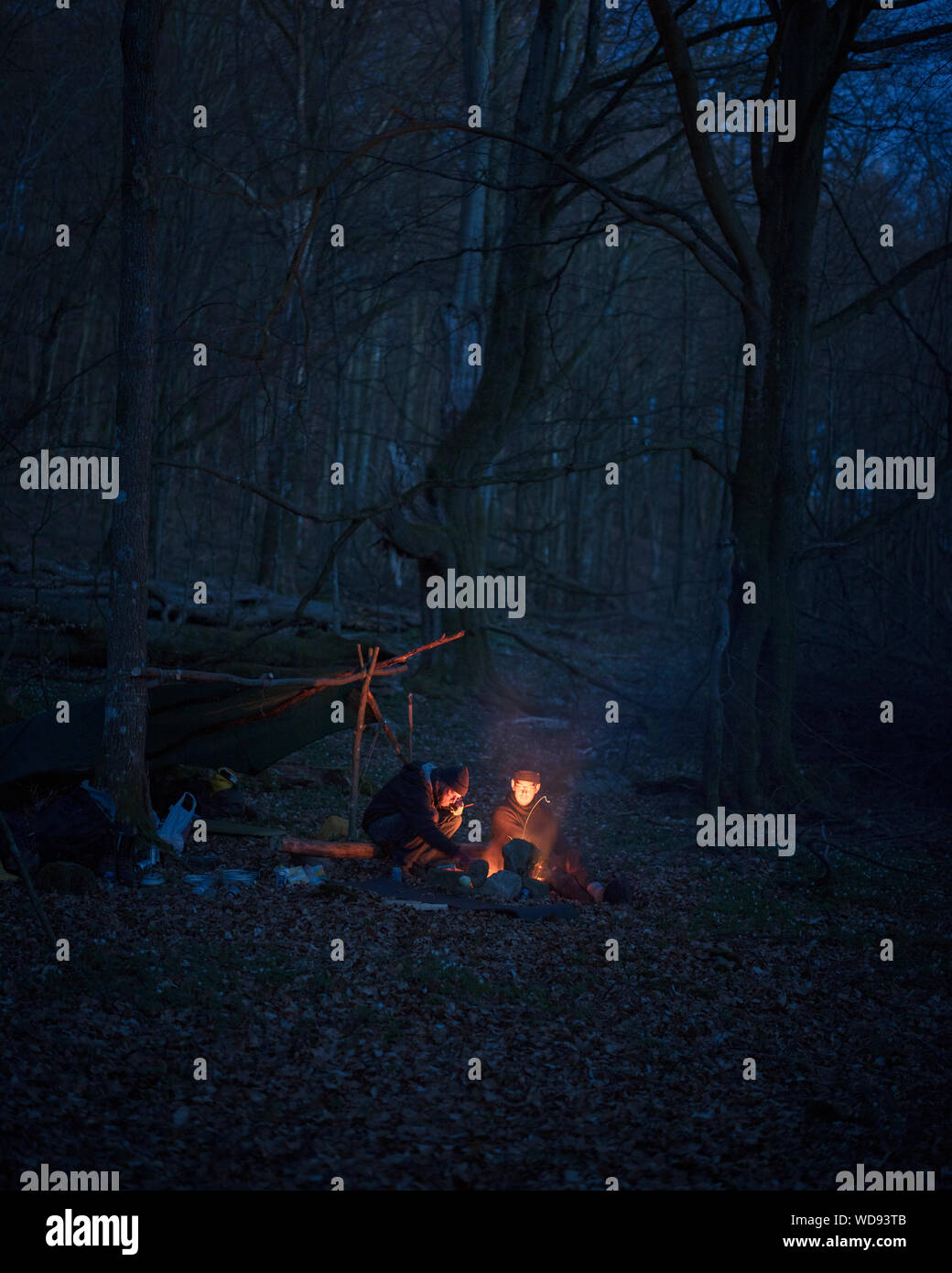 Men camping in forest at night Stock Photo - Alamy