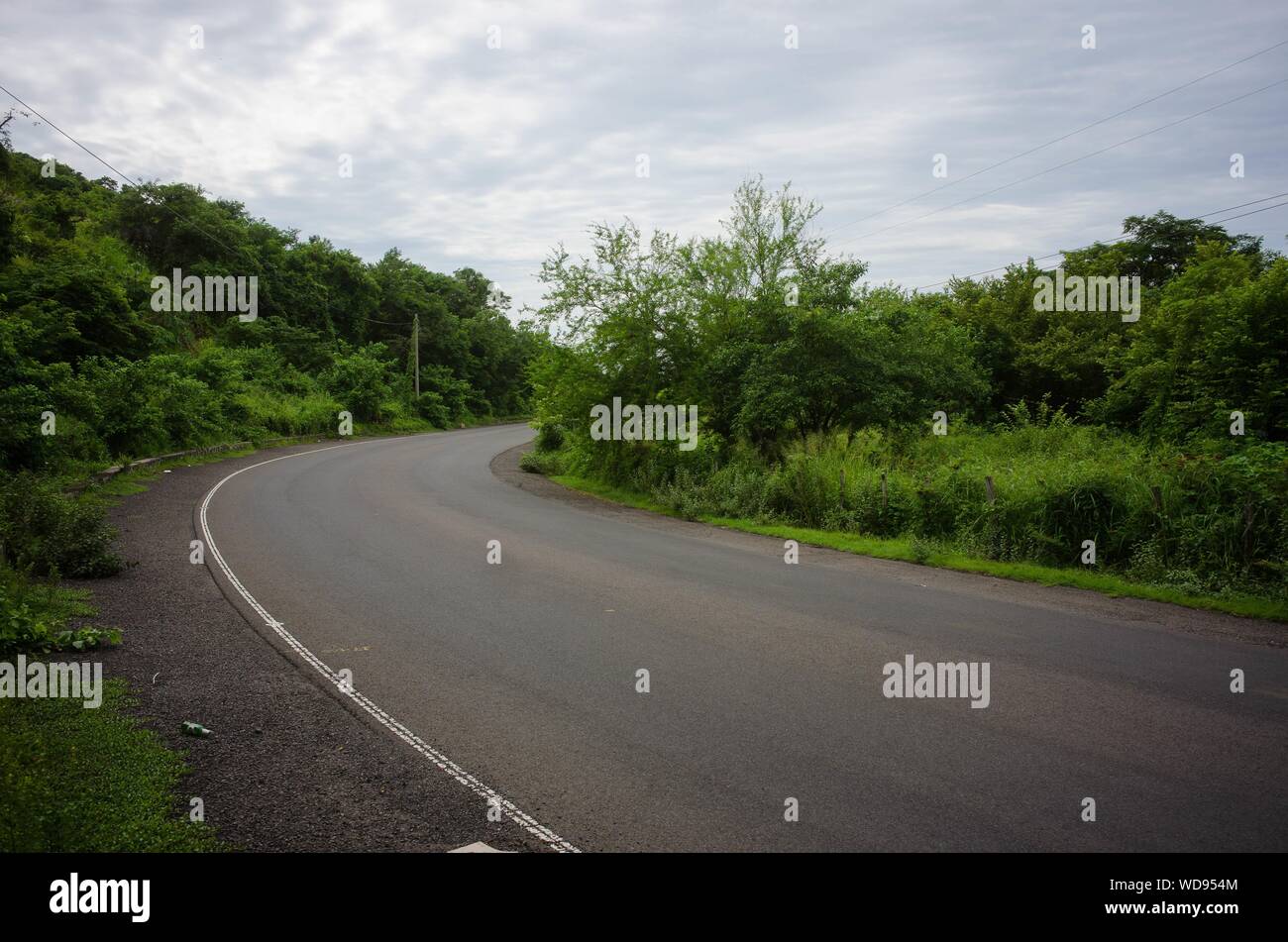 Curvy road is surrounded by the greenery of a forest in the countryside ...