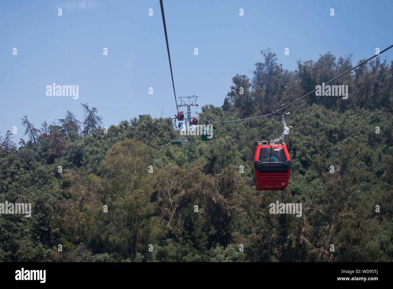 Cable car rope way with a forest greenery below Stock Photo - Alamy