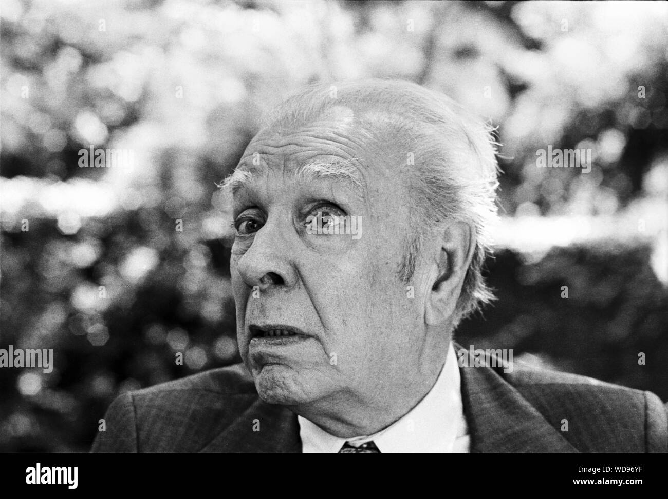the Argentine writer Jorge Luis Borges (Milan, Italy, 1980 Stock Photo ...