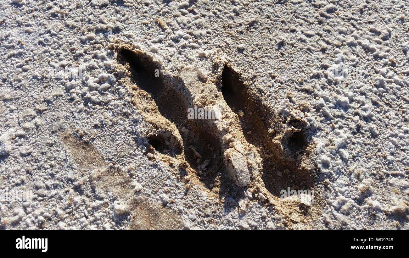 A Salt Lake in the Little Desert region of Victoria Stock Photo - Alamy