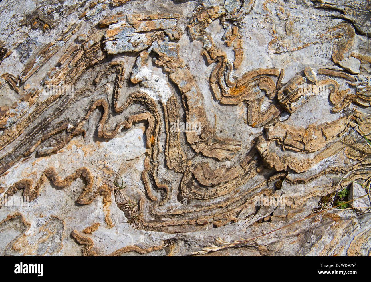 Deformed, curved layers in rock Stock Photo - Alamy