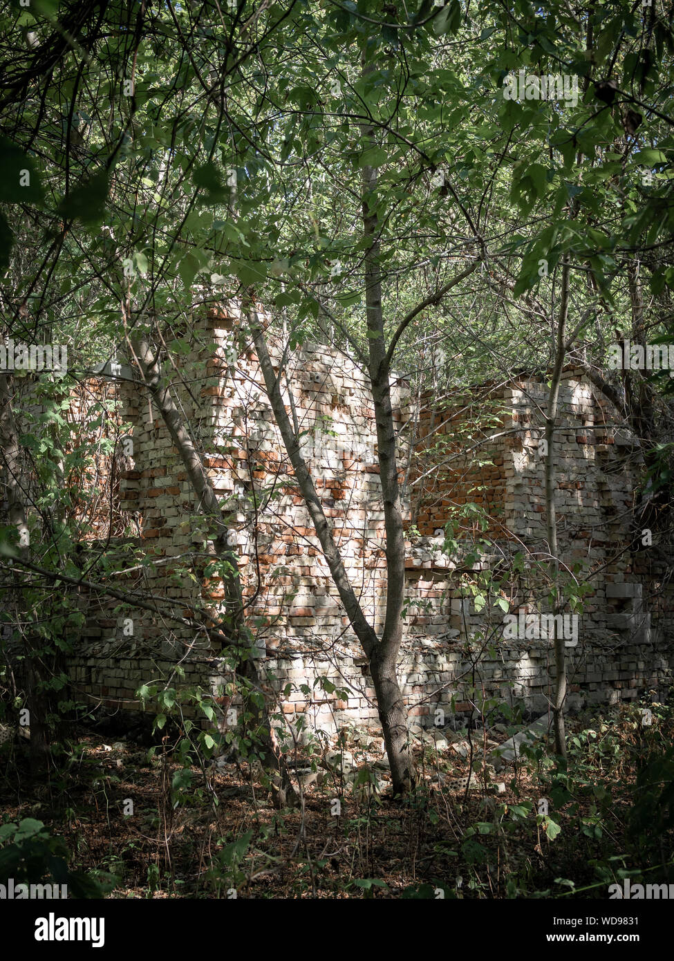 Country house ruins in Zalissya village in Chernobyl Exclusion Zone ...