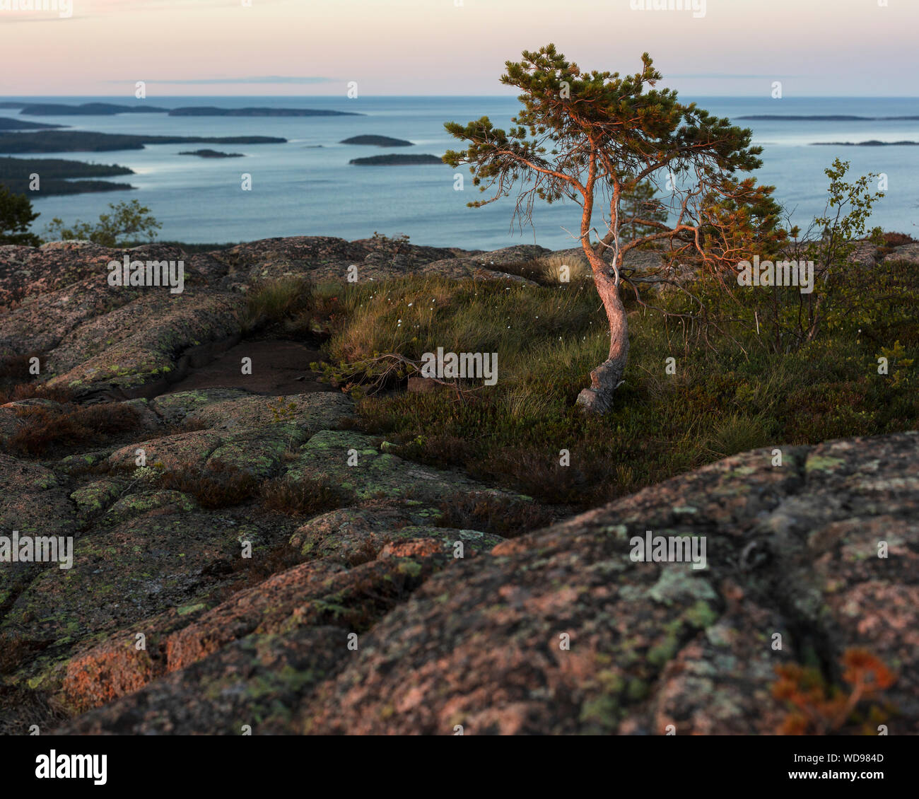 Baltic national park hi-res stock photography and images - Alamy