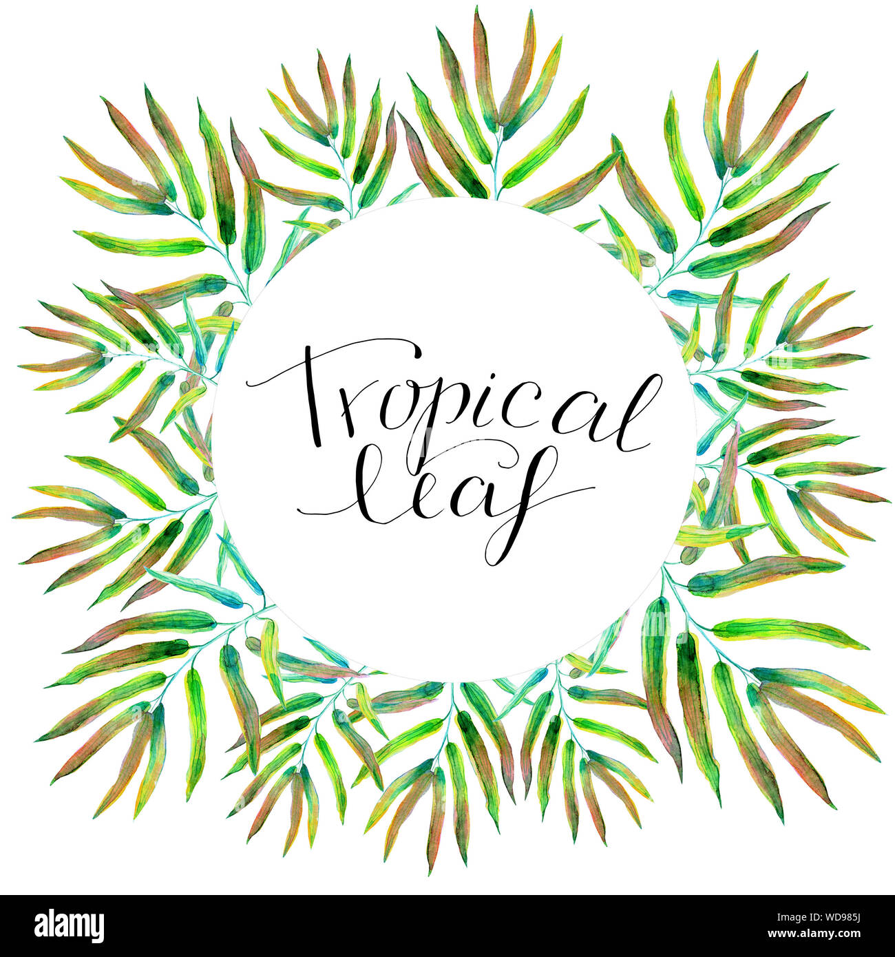 Watercolor tropical floral illustration set with green leaves for ...