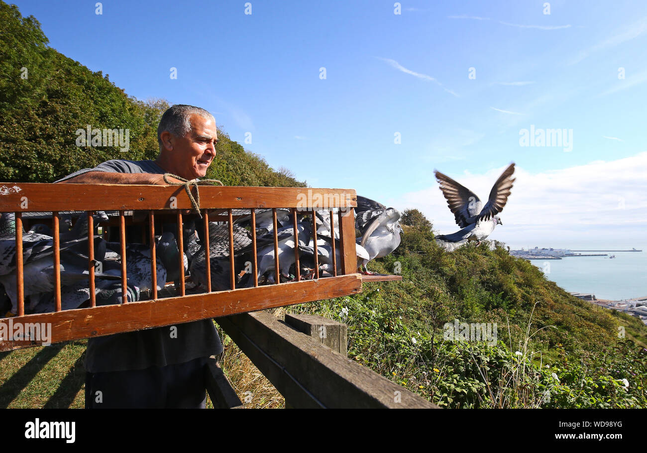 Racing pigeons in training hi-res stock photography and images - Alamy