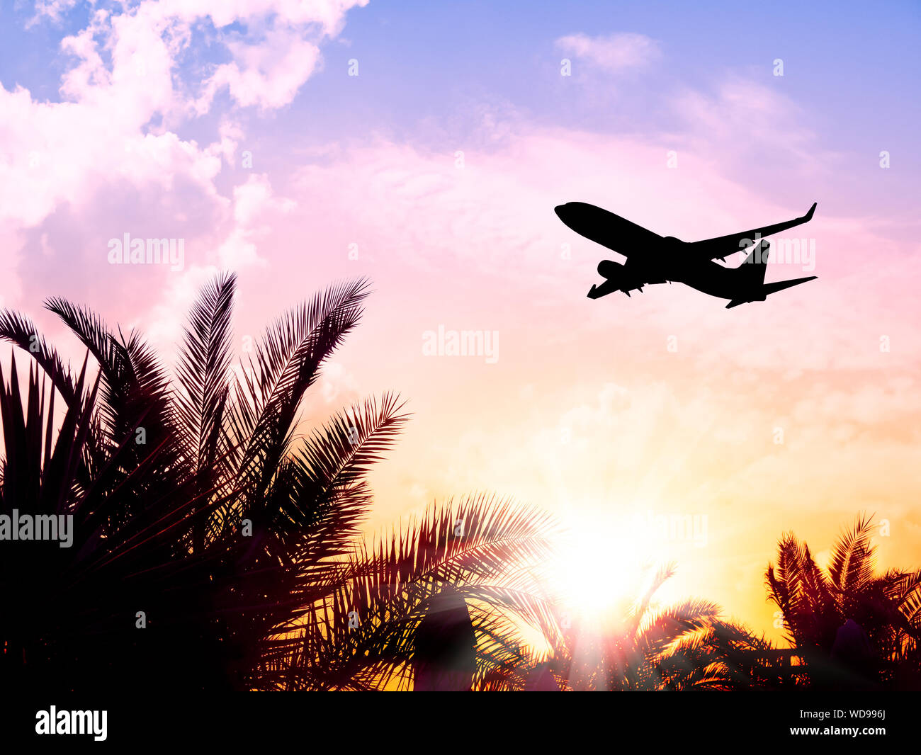 Airplane flying over tropical palm tree and sunrise sky Stock Photo - Alamy