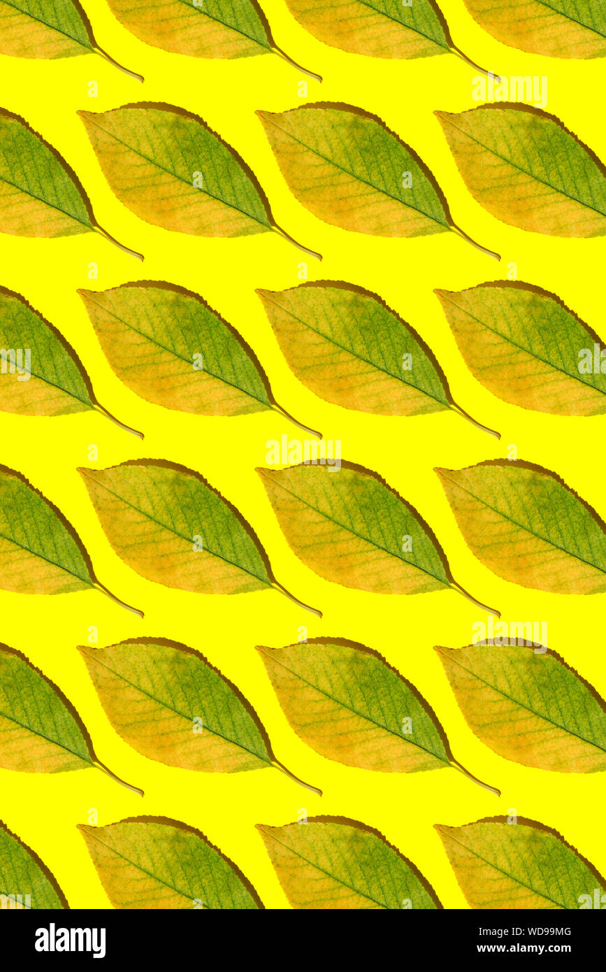 Creative layout hi-res stock photography and images - Alamy