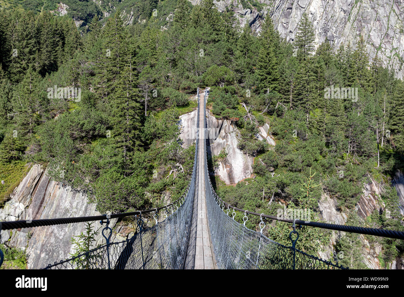 Handeckfall Suspension Bridge, Guttannen, Bern, Switzerland, Europe ...
