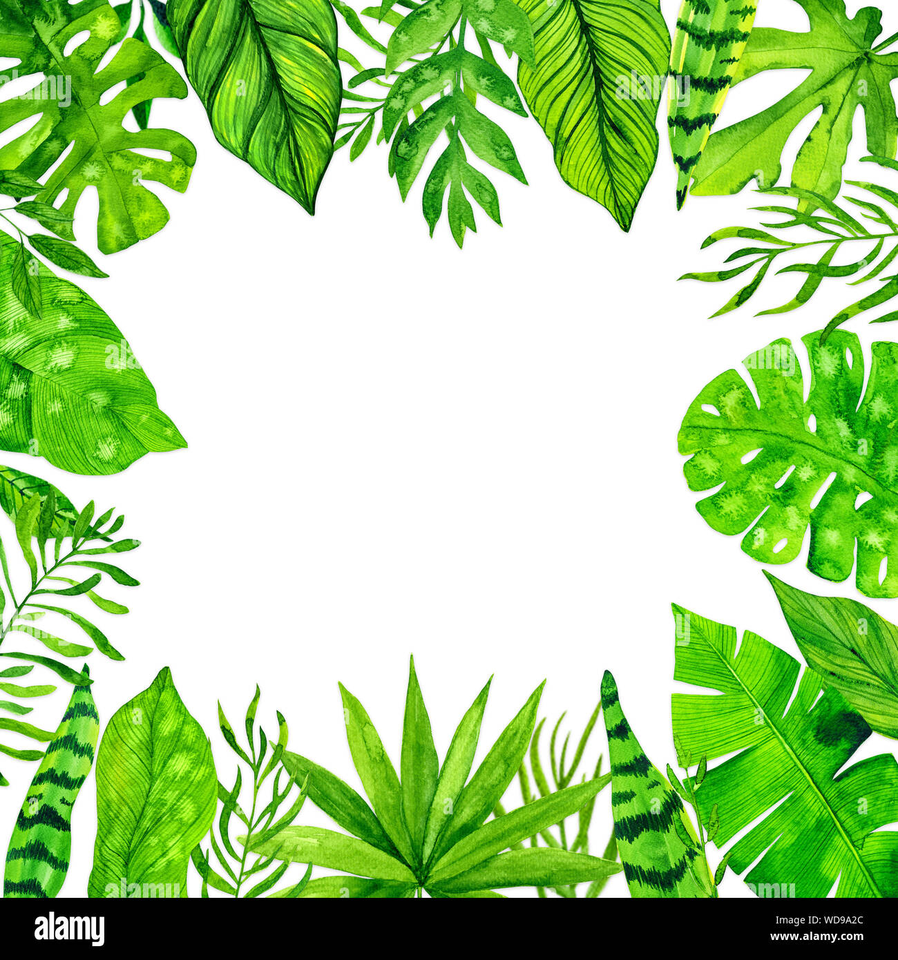 Tropical exotic leaves frame on white background. Watercolor ...
