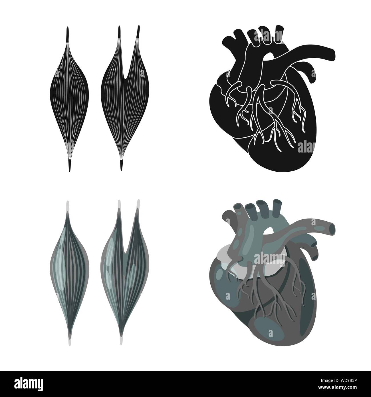 Isolated object of biology and scientific symbol. Collection of biology ...