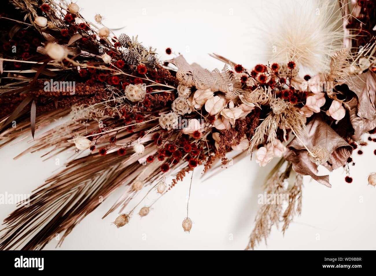 Round twig border hi-res stock photography and images - Alamy