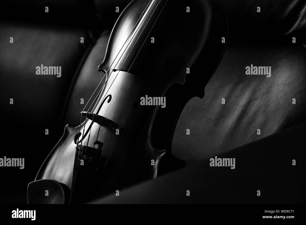 Cello Black and White Stock Photos & Images - Alamy