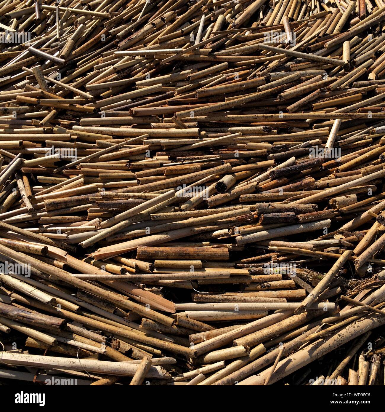Bamboo logs hi-res stock photography and images - Alamy