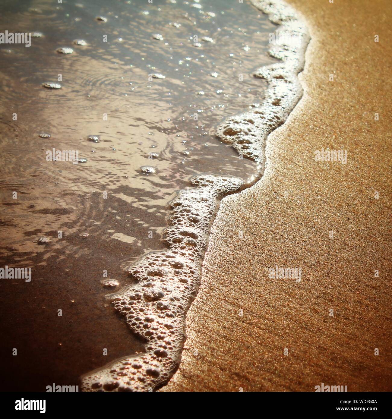 At the edge of the sand hi-res stock photography and images - Alamy