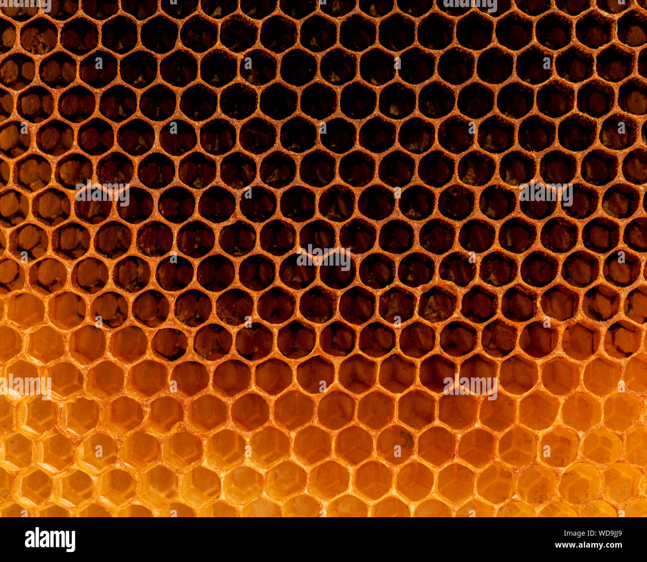 Beehive shape hi-res stock photography and images - Alamy