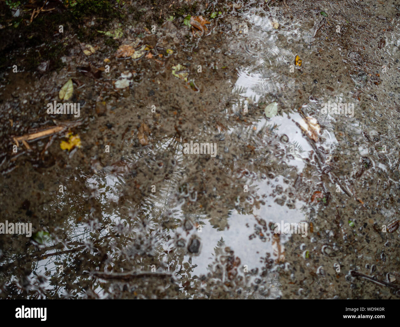 Muddy ditch hi-res stock photography and images - Alamy