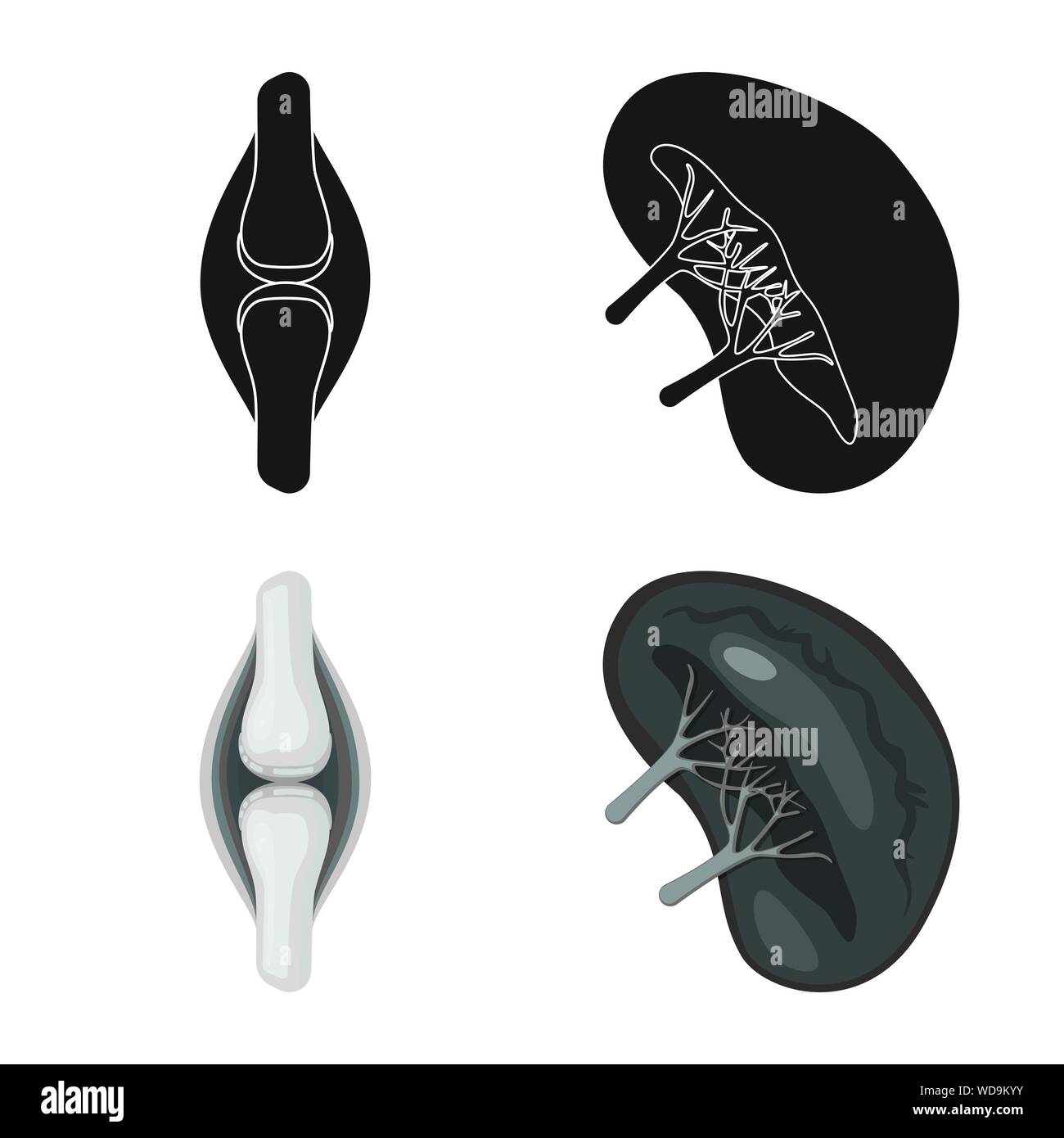 Vector design of biology and scientific logo. Set of biology and ...