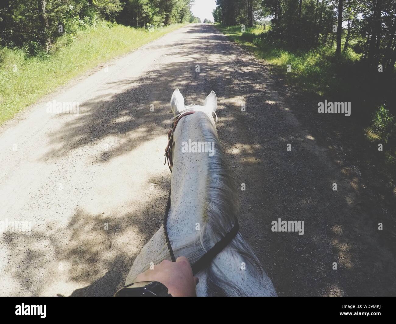 Man Riding White Horse High Resolution Stock Photography and Images - Alamy