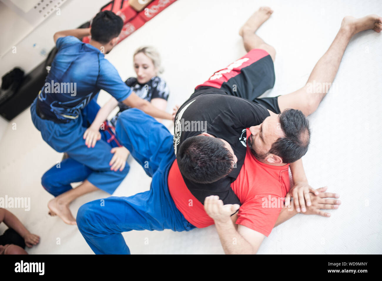 Judo lesson hi-res stock photography and images - Alamy