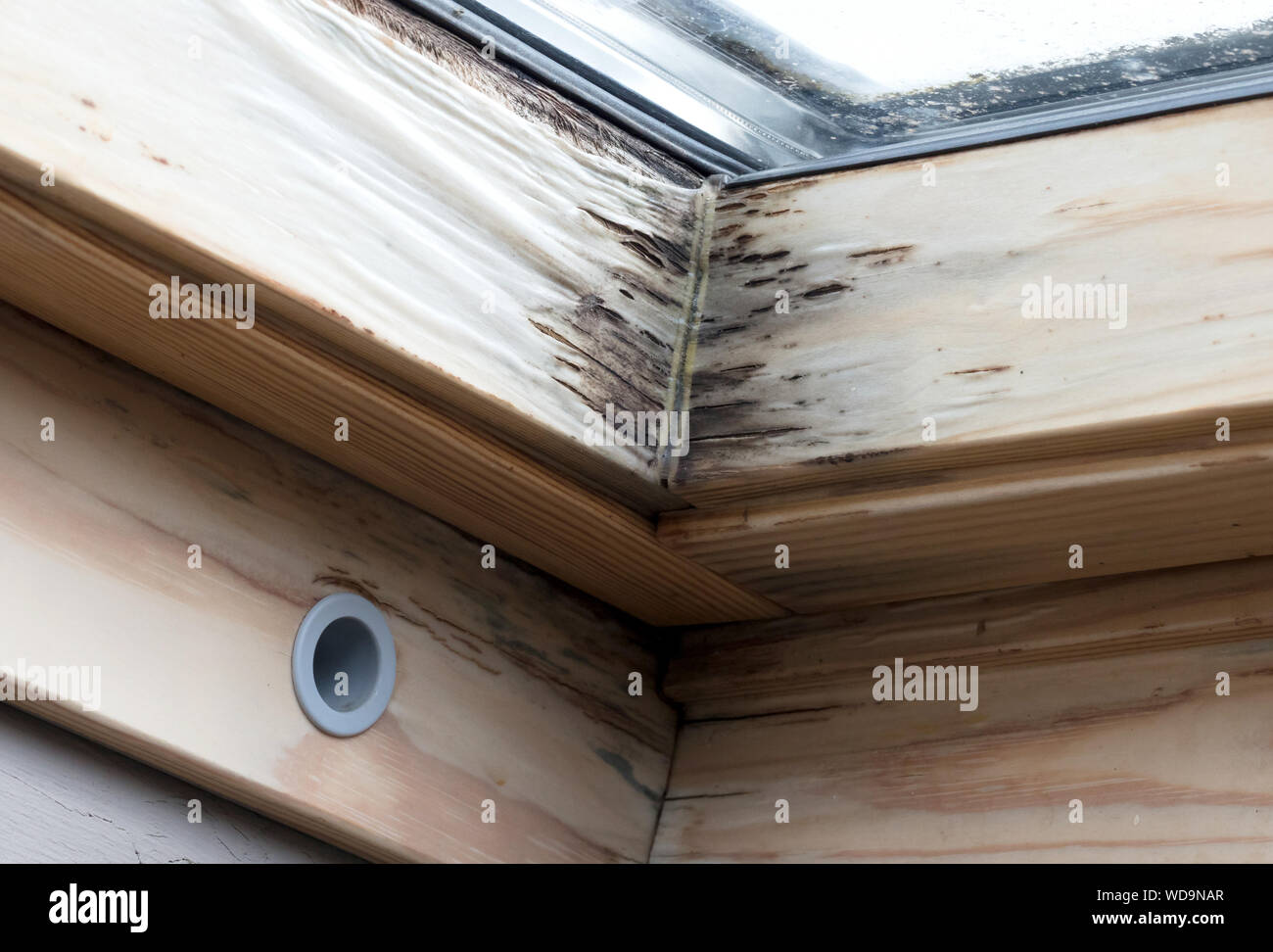 Roof window after leaking, wood is starting to rot Stock Photo - Alamy