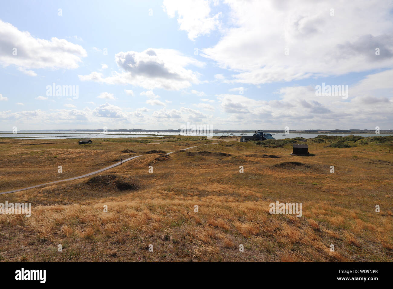 Walk on Blakeney Point on a Summers day, Norfolk England Stock Photo ...
