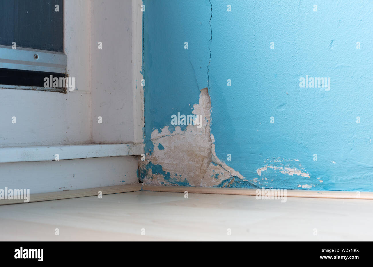 Old peeled wall with mold, blue wall Stock Photo - Alamy