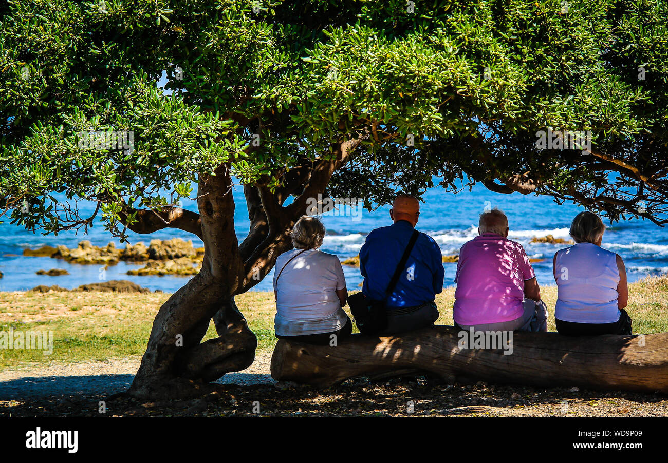Real people men tree hi-res stock photography and images - Alamy