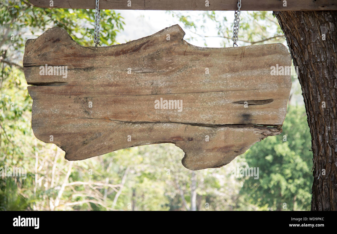 Log of the tree hi-res stock photography and images - Alamy