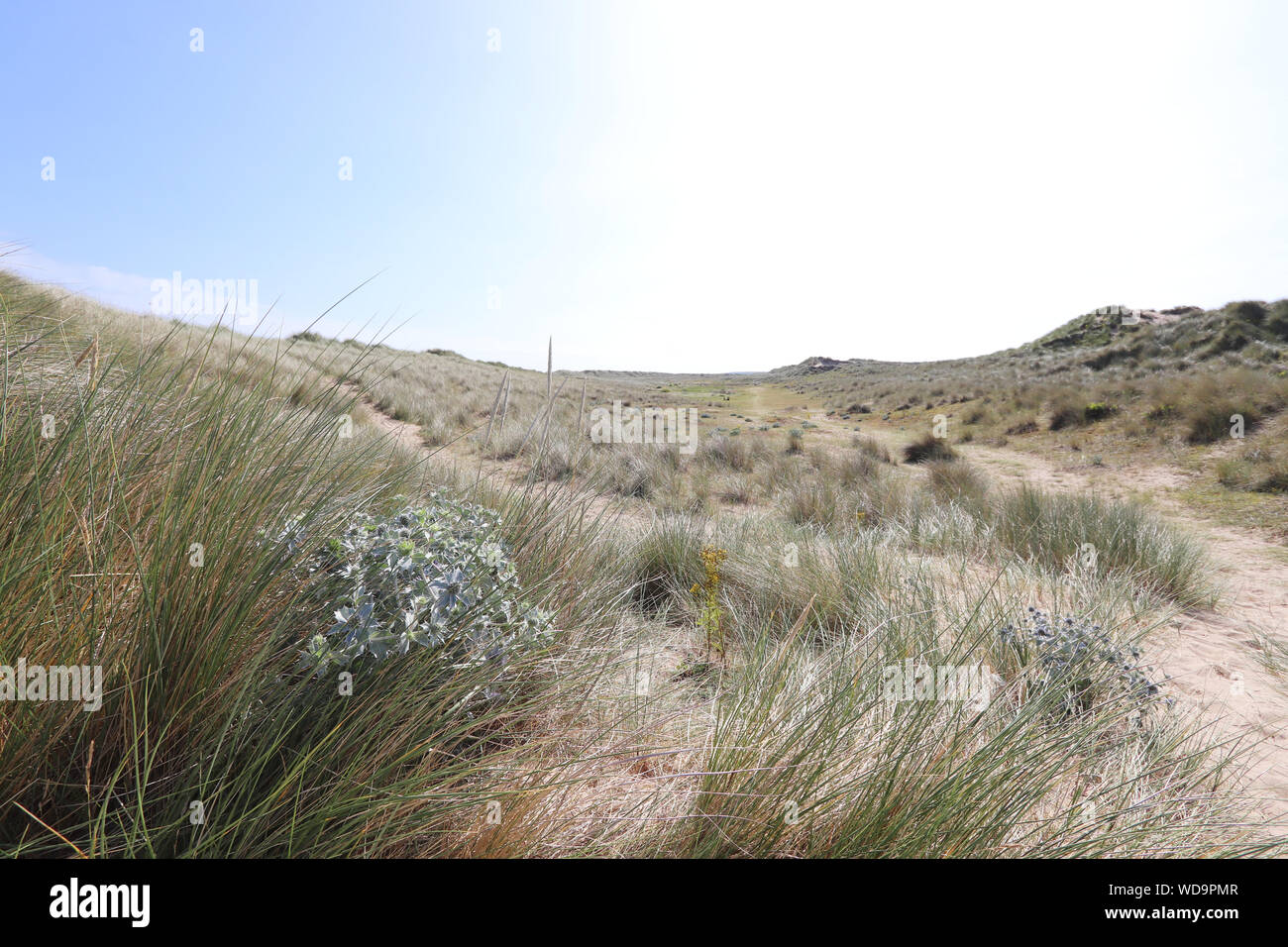 Burnham Overy Staithe Beach in Norfolk, England, showing North Sea and ...