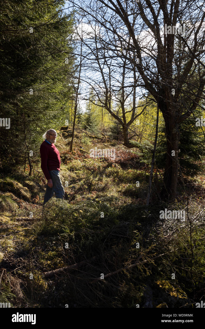 Man walking into forest hi-res stock photography and images - Alamy